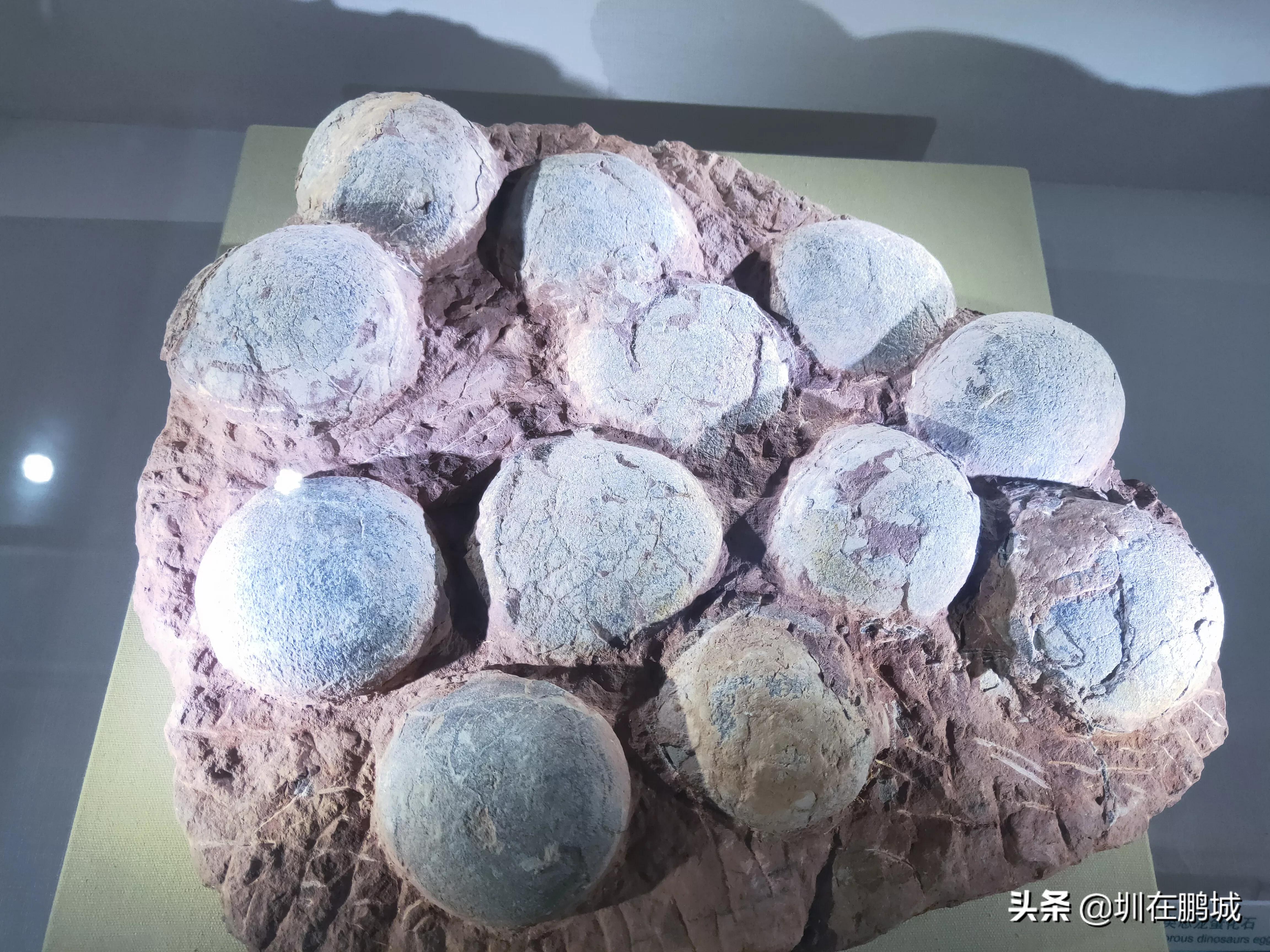 The Geological Museum under the Qiniang Mountain in Shenzhen - iNEWS
