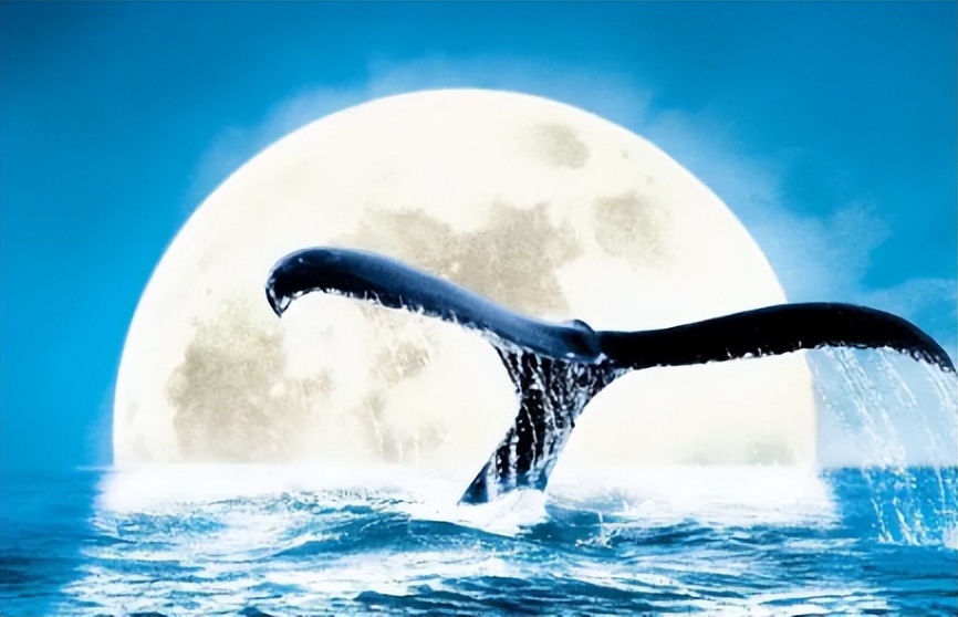 "Deep Blue" shows the impact of human activities on the natural ...