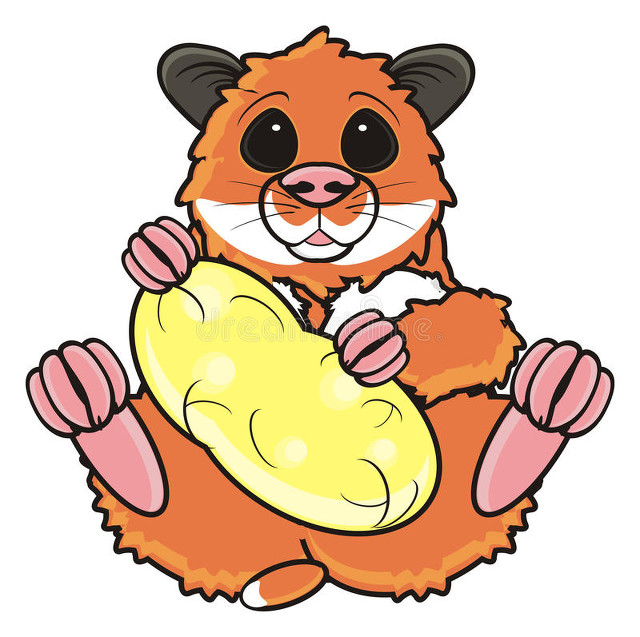 What is the untouchable bottom line of the zodiac rat? - iMedia