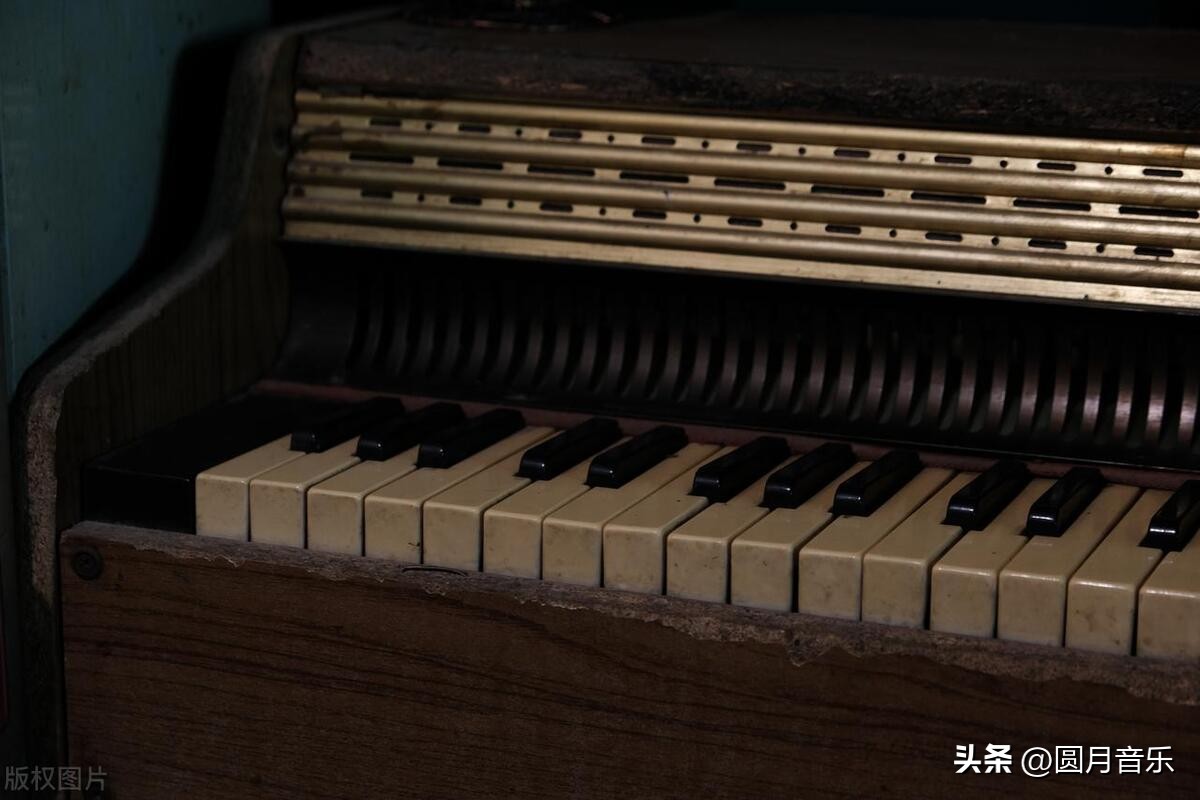 The Wonderful Journey of Music: From Caves to Headphones, Explore the ...