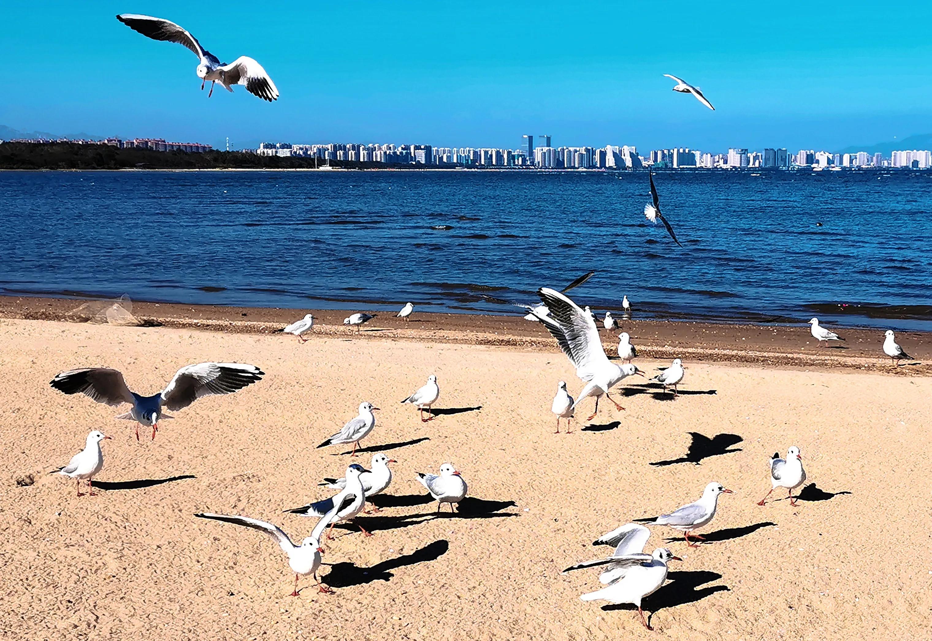 Nine Beidaihe Coastlines of Mainland China - iNEWS