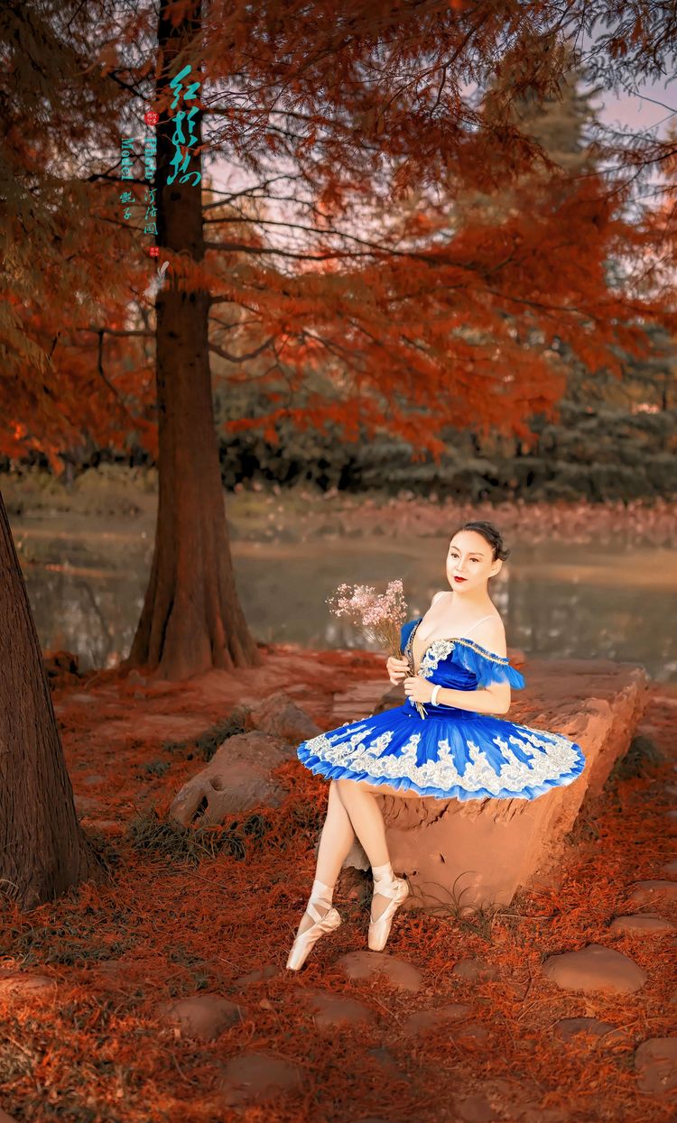 Portrait Photography: Sequoia Tree - iNEWS