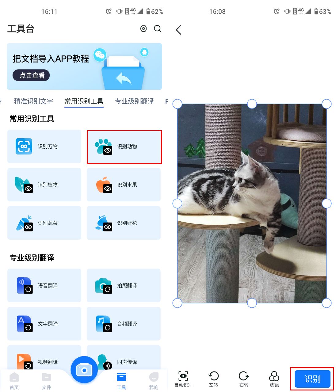 How to identify animals? let me teach you a few tricks - iMedia
