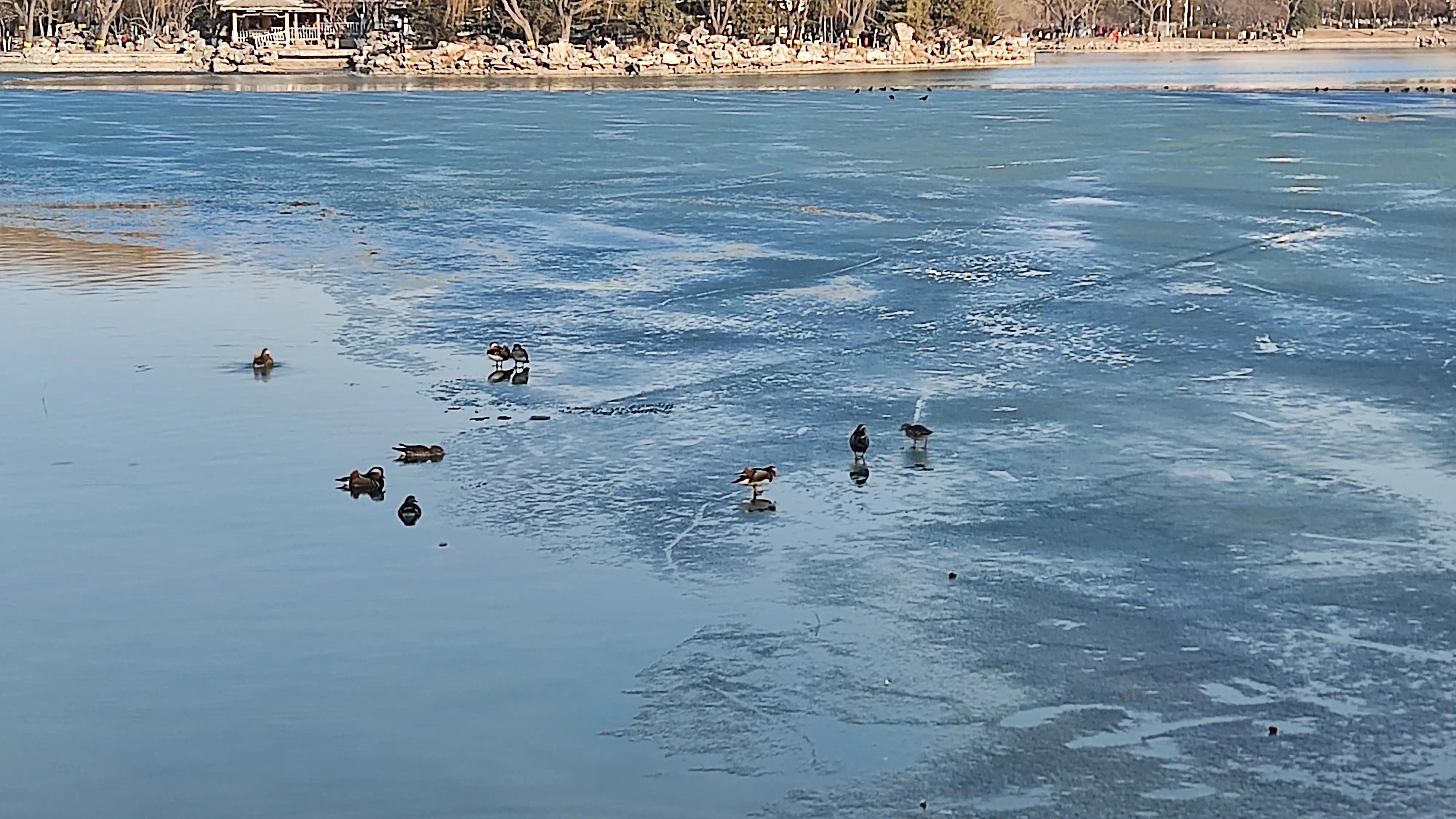 On a sunny afternoon, leisurely strolling in Longtan Lake Park - iNEWS
