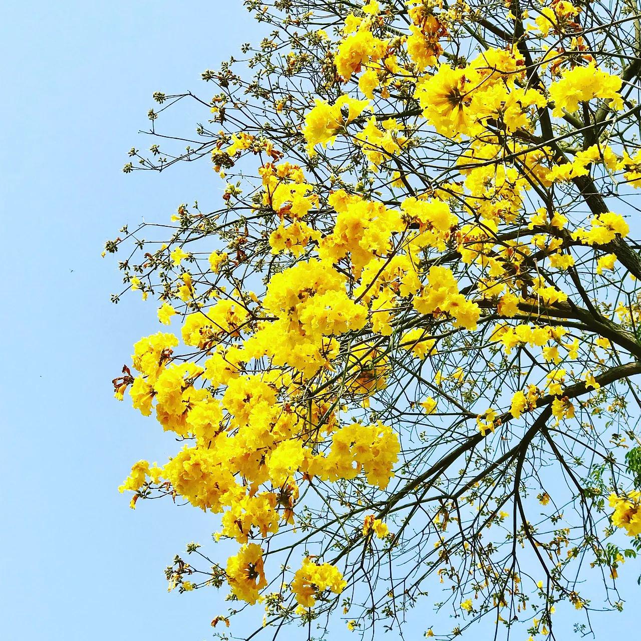 A little knowledge about "Mencius" - iNEWS