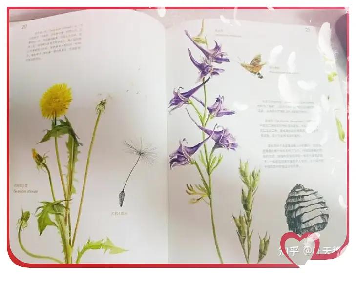 Miao: A Wonderful Seed World That Subverts Children's Cognition and ...