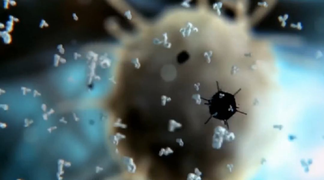 How do viruses attack the human body? How do the body's defense systems ...