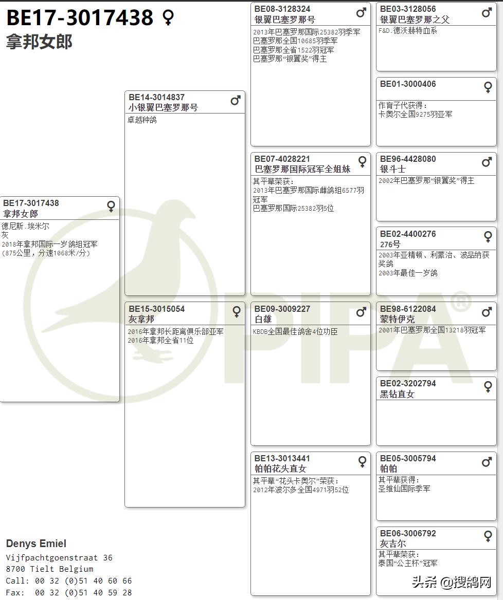 The honor every pigeon breeder wants to get!Pigeon World "Lifetime ...