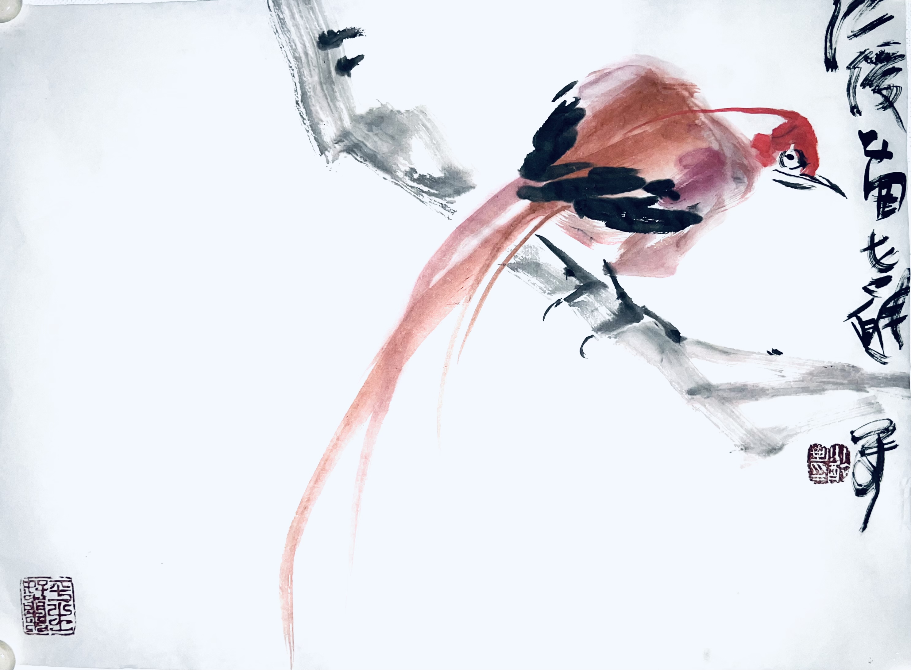 Visiting Zhu Dazui, a famous flower and bird painter in Shanghai, for ...