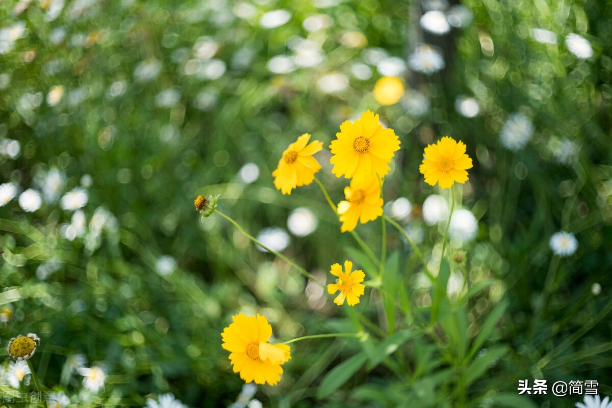 At the beginning of spring, read the poems of the beginning of spring ...