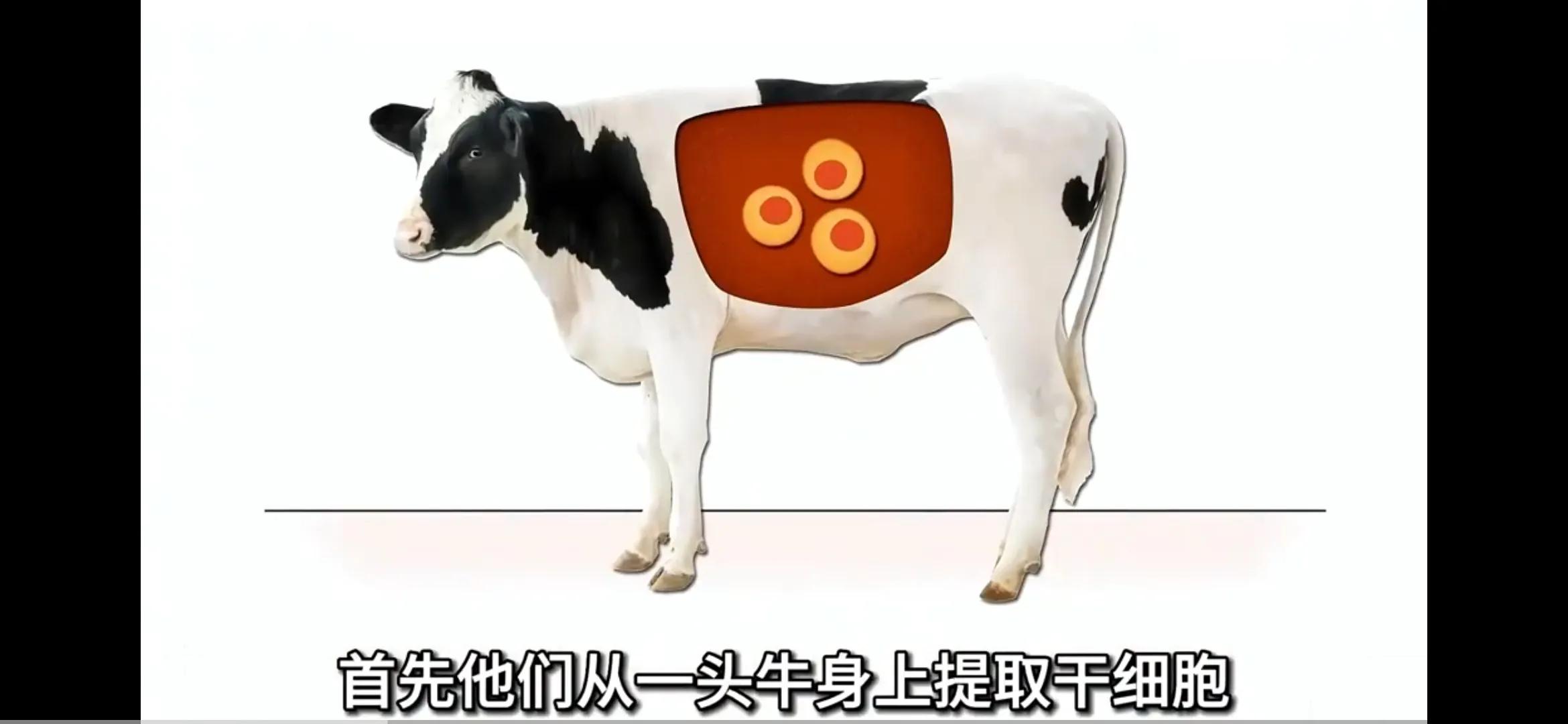 The artificial real beef developed by Israel has the same texture and ...