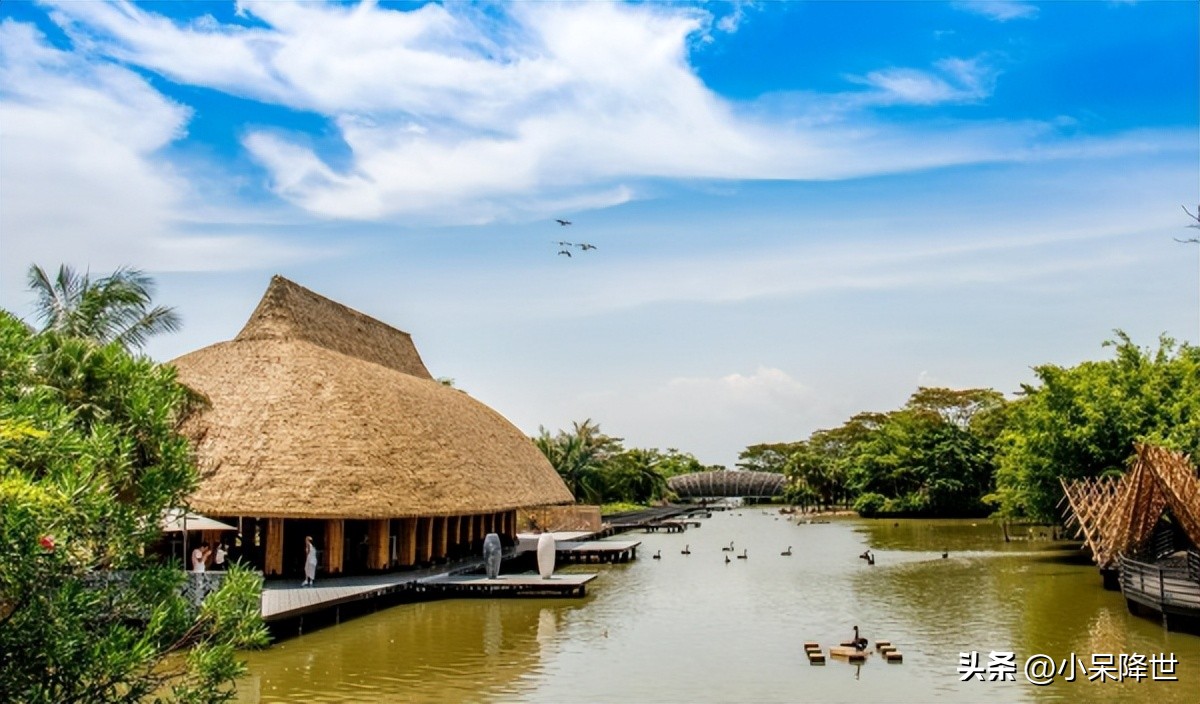 Located in Nansha, Guangzhou, what is the only waterfowl ecological ...