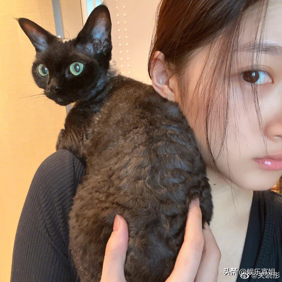 Guan Xiaotong takes a selfie with her cat and her face so beautiful ...