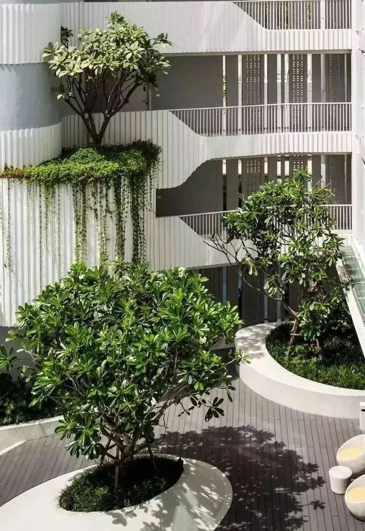 Having seen so many tree pools, do you know these design skills? - iNEWS