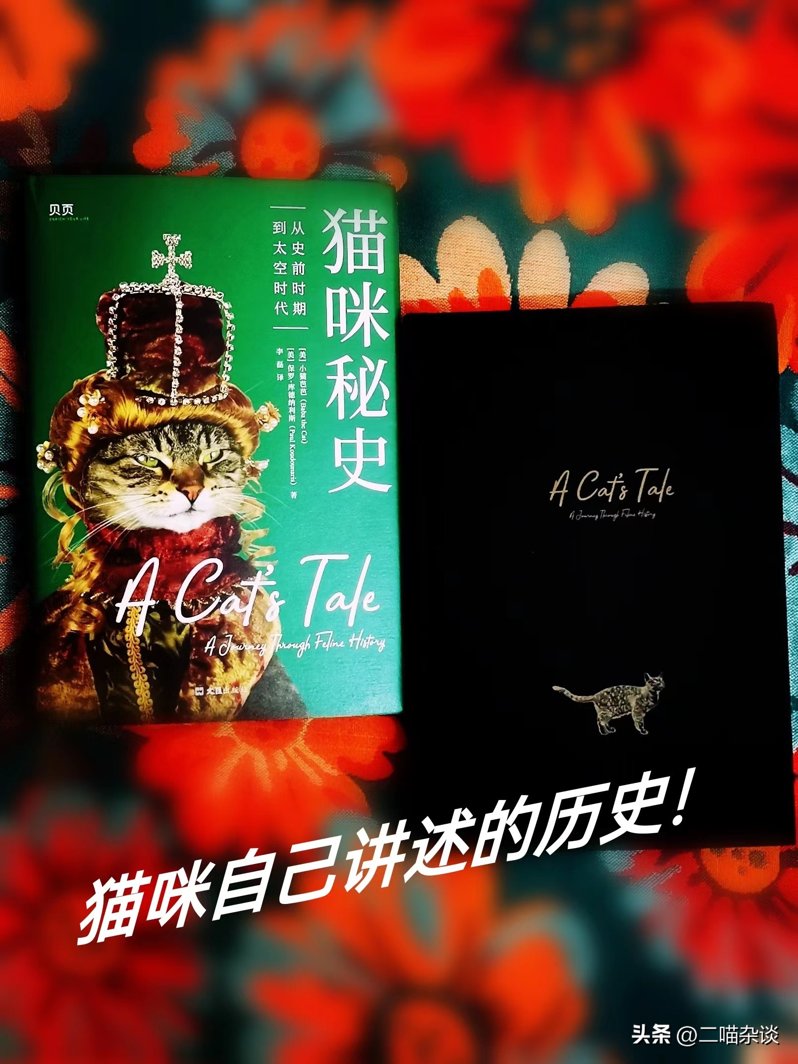 The history told by a cat is the lingering love and hatred between ...