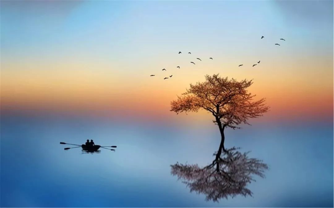 "Shanyue Ji" When the ideal conflicts with reality, how to choose - iNEWS