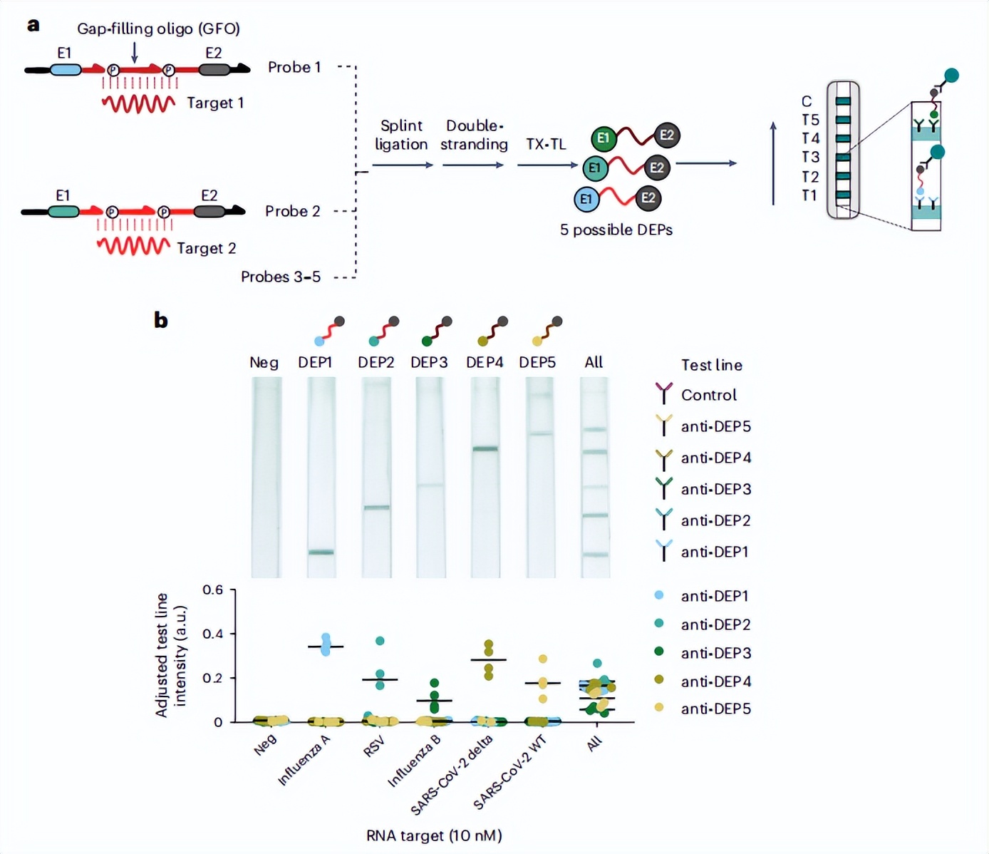 IF 30 "Nature" Sub-Journal: Innovative Technology for Detection of ...