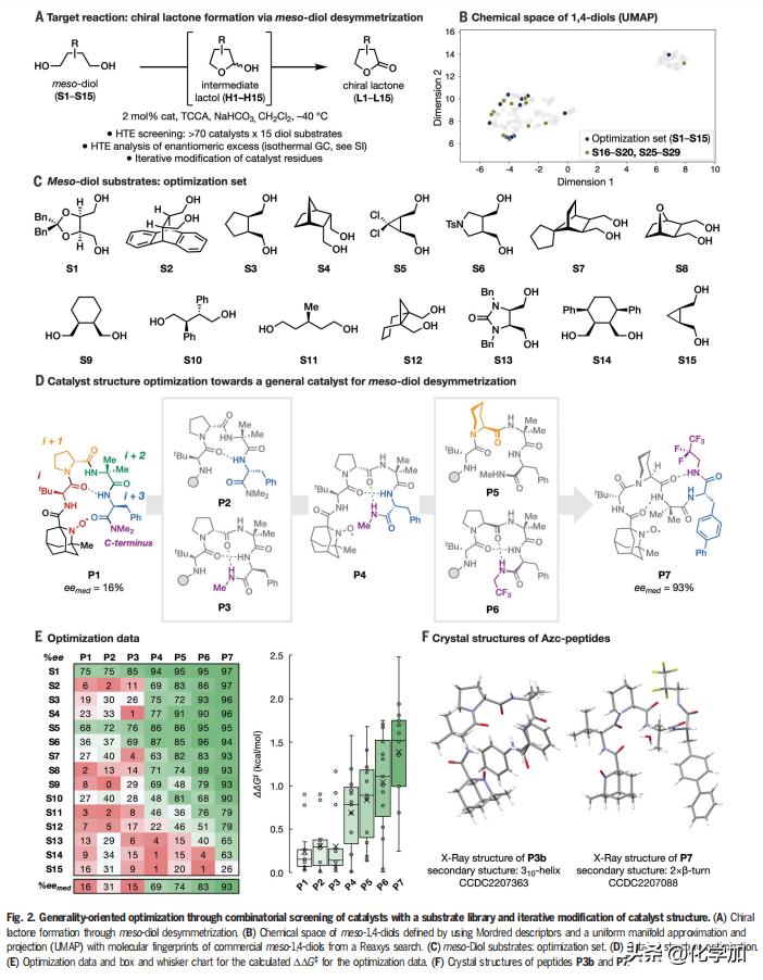 Science: Enantioselective amino-oxyl radical catalysis with high ...
