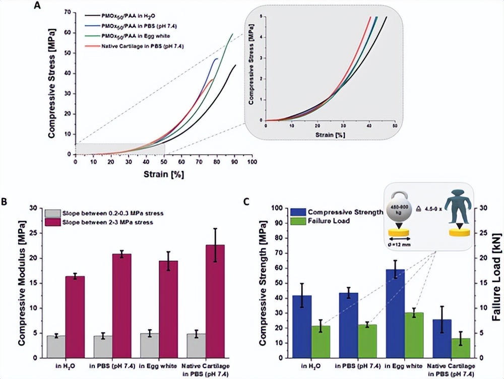 "AFM》60mP Compressed Super Strong Dual Network Hydrogel - iNEWS