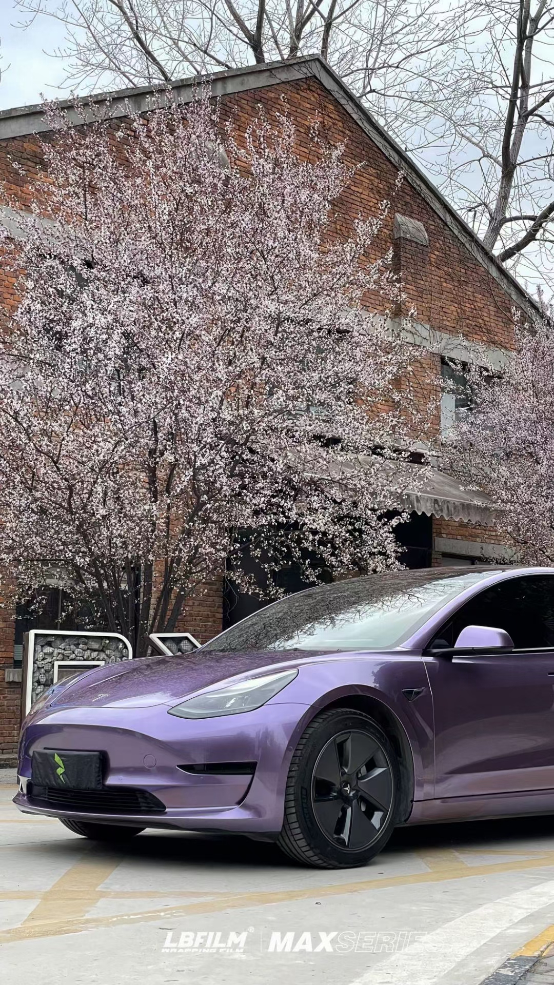 Tesla Model3-LB color change film liquid metal loganberry, the texture ...