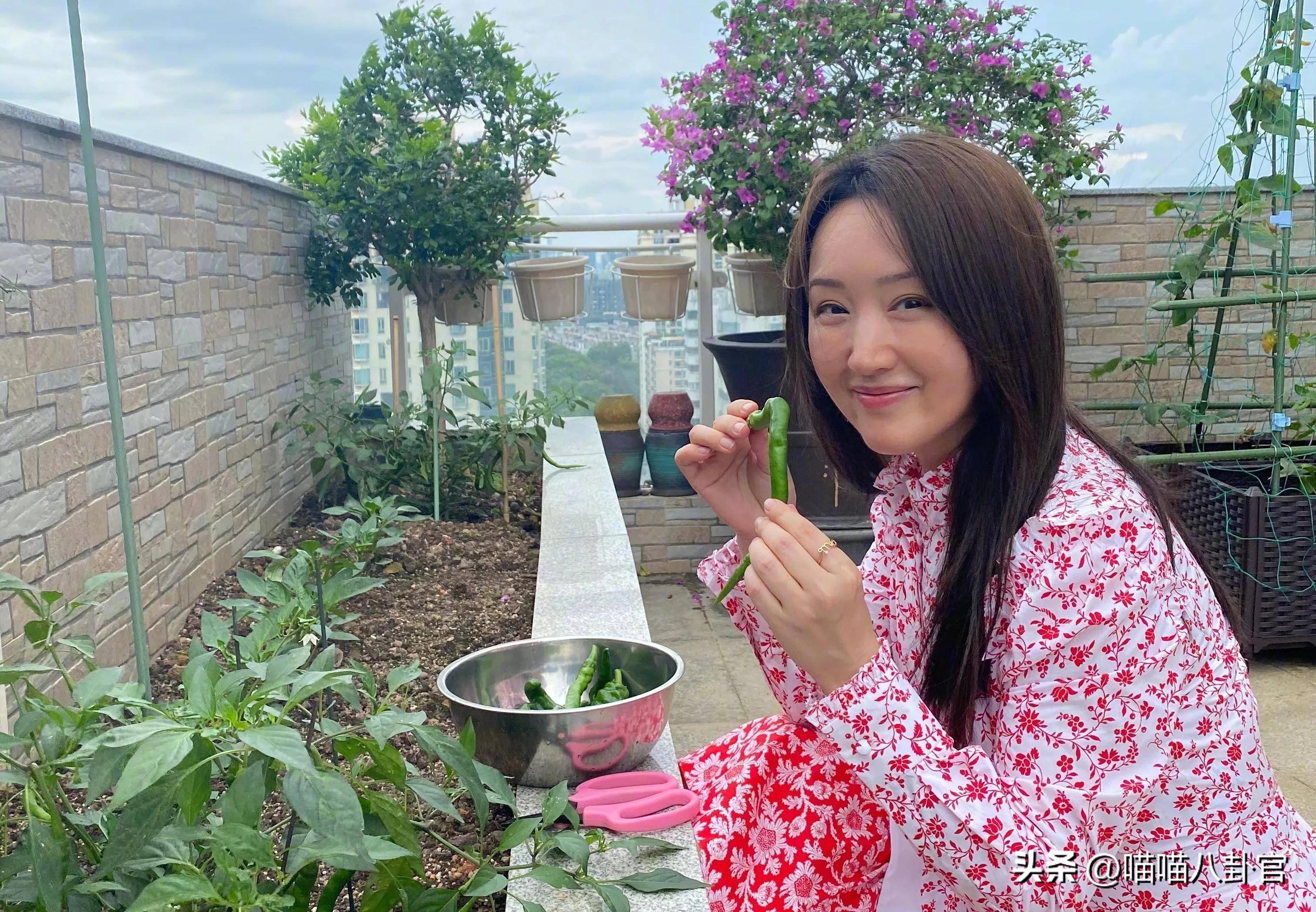 Yang Yuying's big belly sparked speculation: Is a new life about to ...
