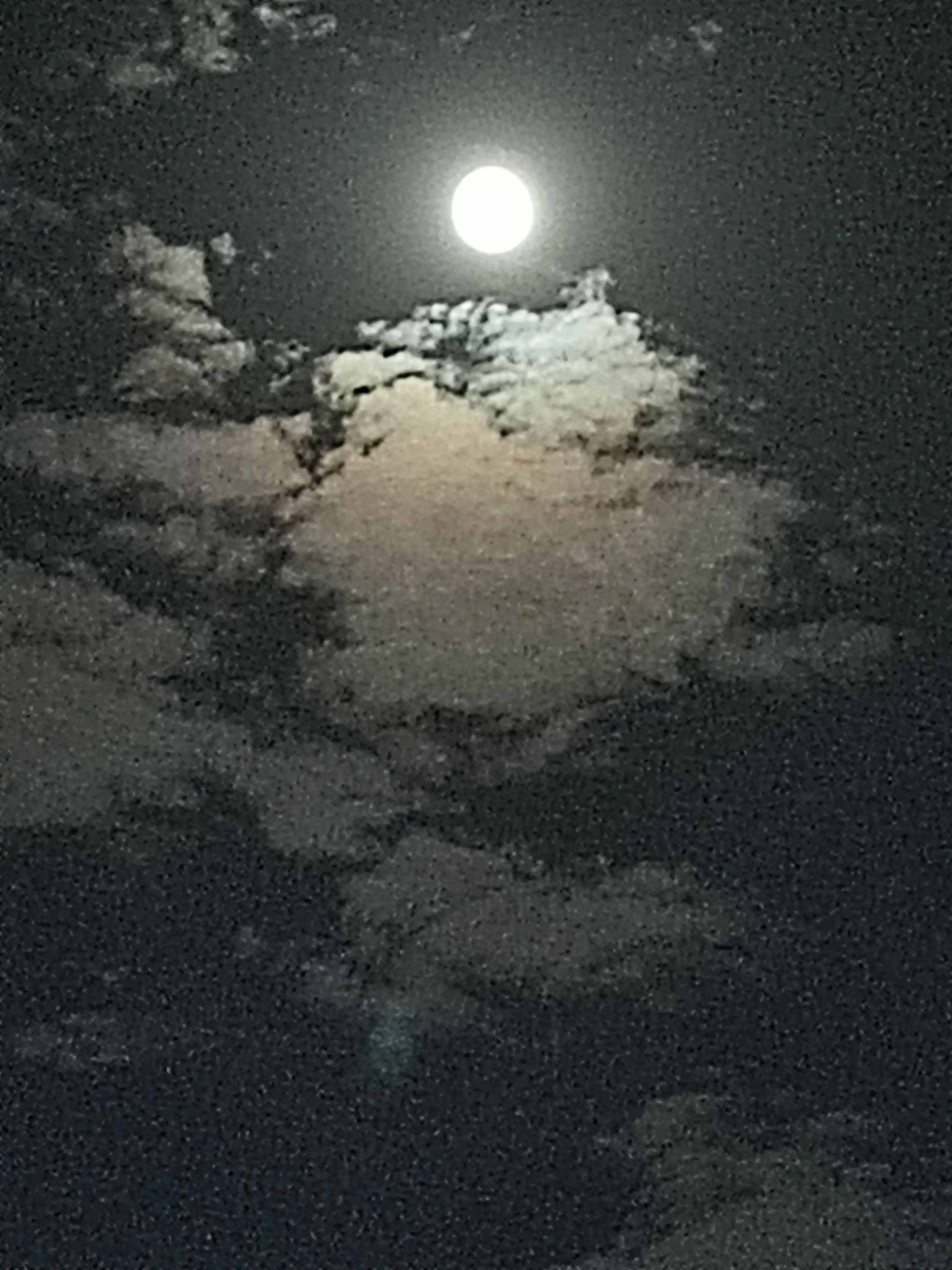 "Watching the Moon" (Chinese Rhyme) - iNEWS