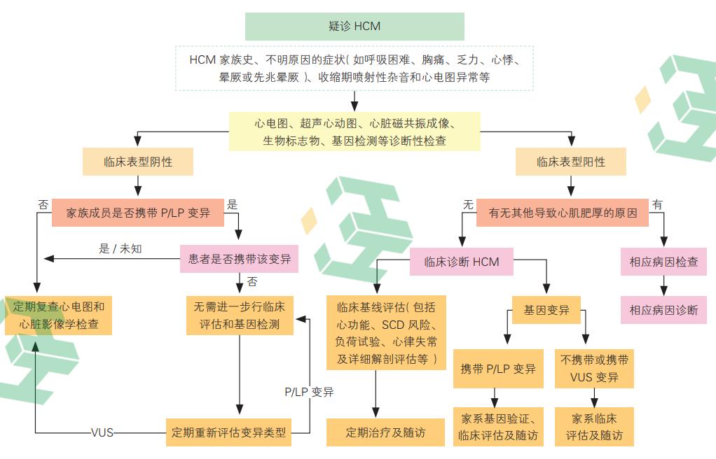 Expert Interpretation of "Guidelines for the Diagnosis and Treatment of ...
