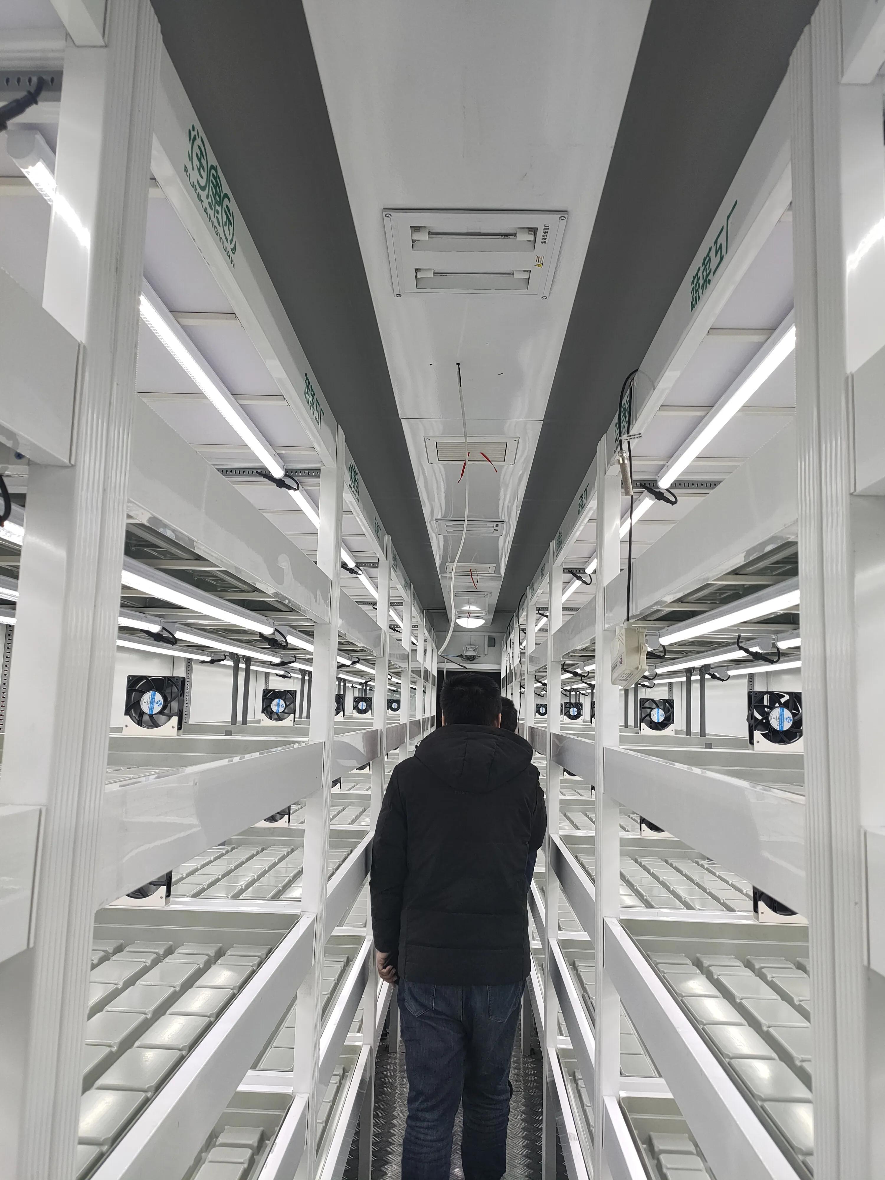 Plateau shipped out containerized vegetable factory - iNEWS