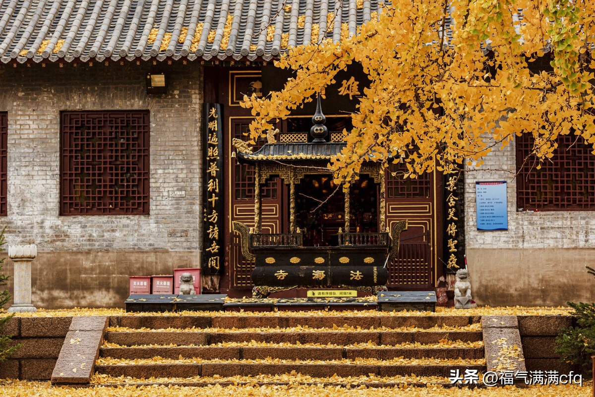 We all misunderstood Fa Hai, is he really a person who doesn't ...