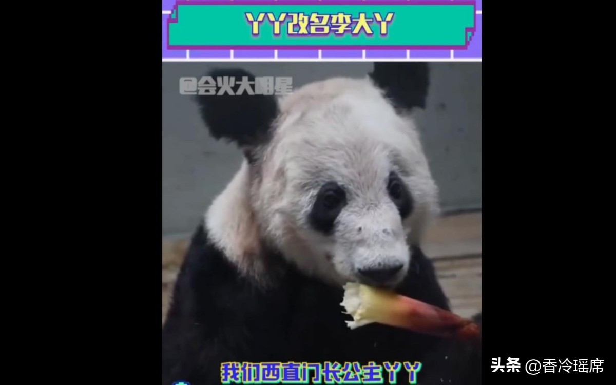 Beidong updates Yaya's latest video, Li Dali is so fat that she becomes ...