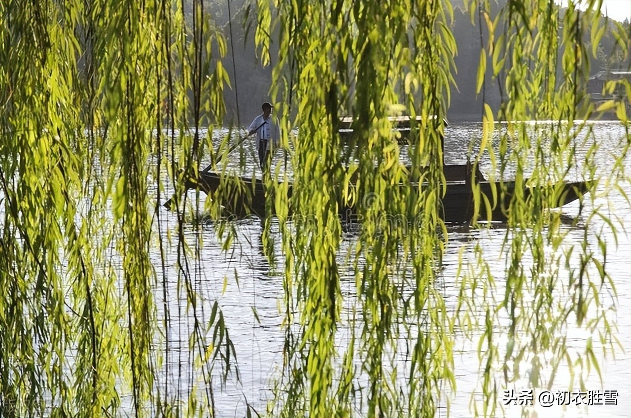 Six Songs of Autumn Willows in Qingli Early Autumn - iNEWS