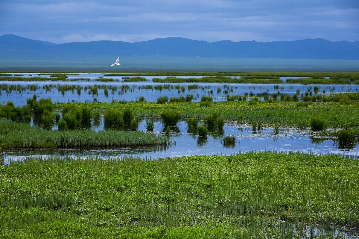 China's 9 most beautiful wetland scenery, the kidney of the earth ...