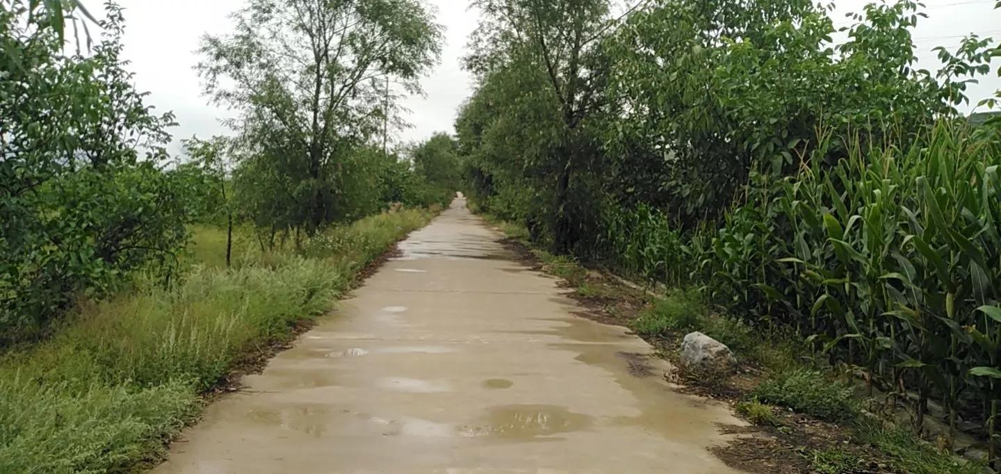 Nanping Xingwang - iNEWS