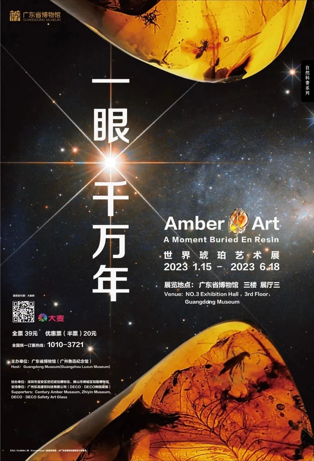 Thousands of Years at a Glance: World Amber Art Exhibition - iNEWS