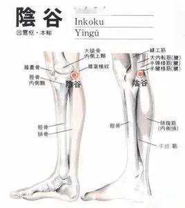 Yingu point, the omnipotent pain-relieving point of the knee joint, it ...