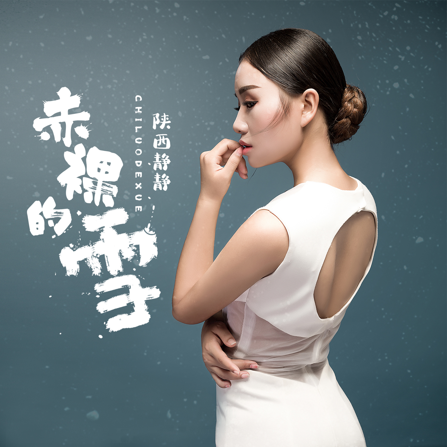 Singing out the dream in your heart - Chinese female singer Liu Jing's ...