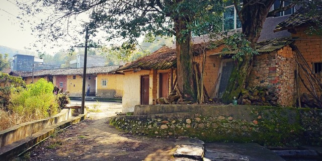 Home is a place of forgetting and healing - iNEWS