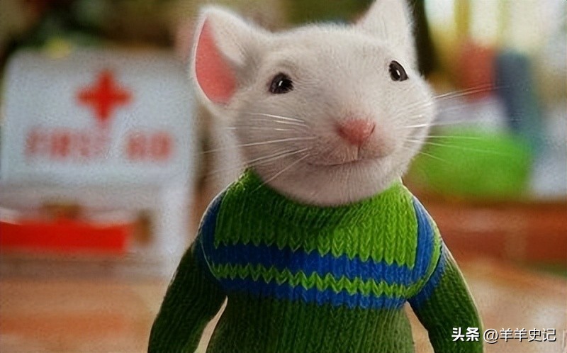 Courage and Adventure: The Growth of Stuart in "The Little Elf Mouse ...