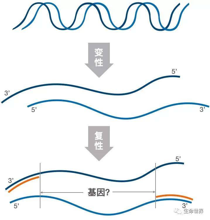 The secret of DNA (2) - iNEWS