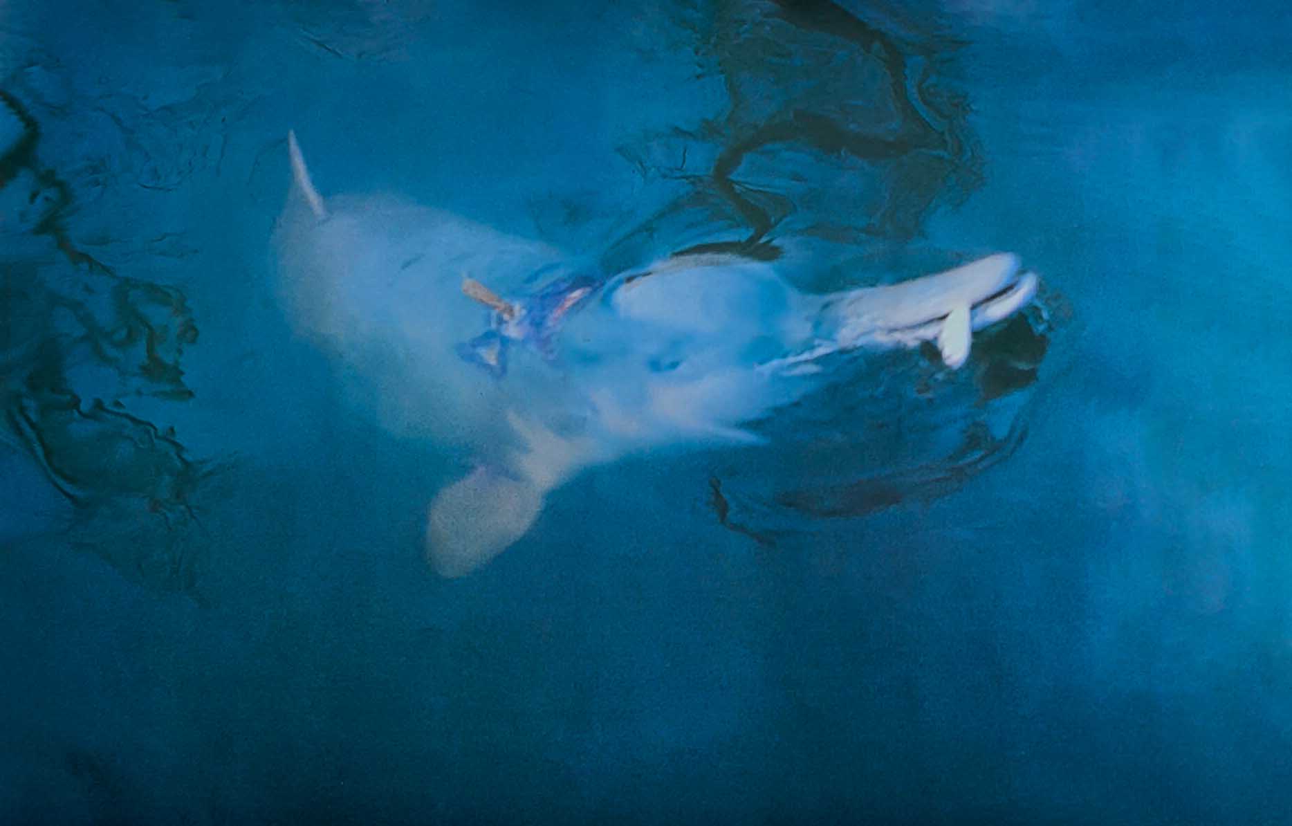 An anecdote of Academician Yang Shuzi's support for participating in ...