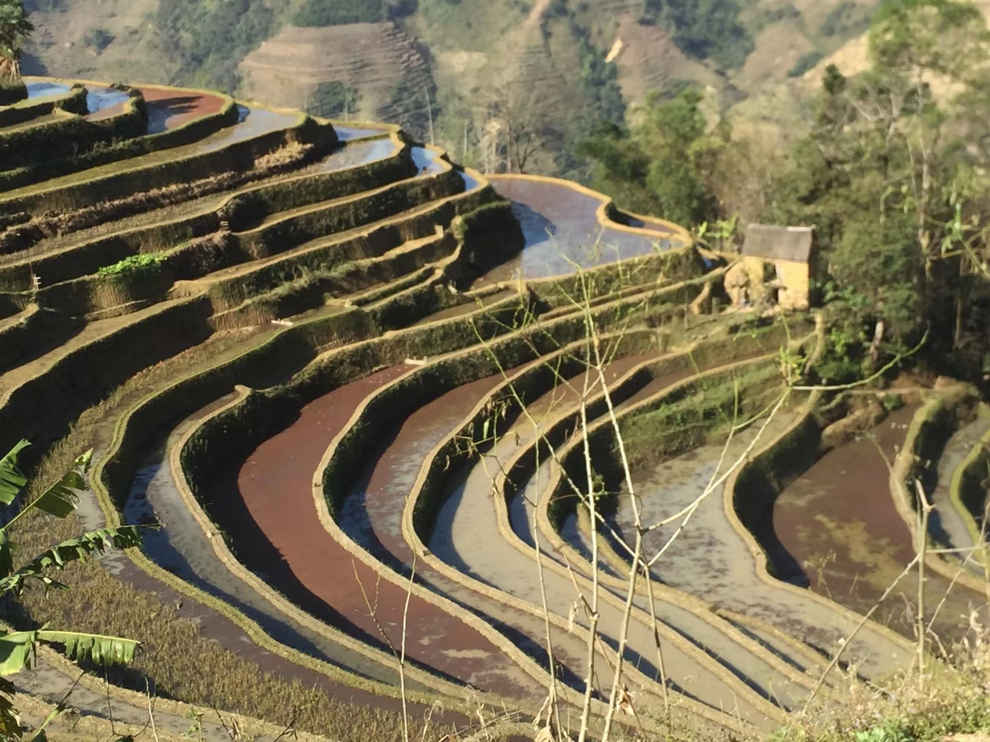 The terraced fields are picturesque in March, don't forget to go to ...