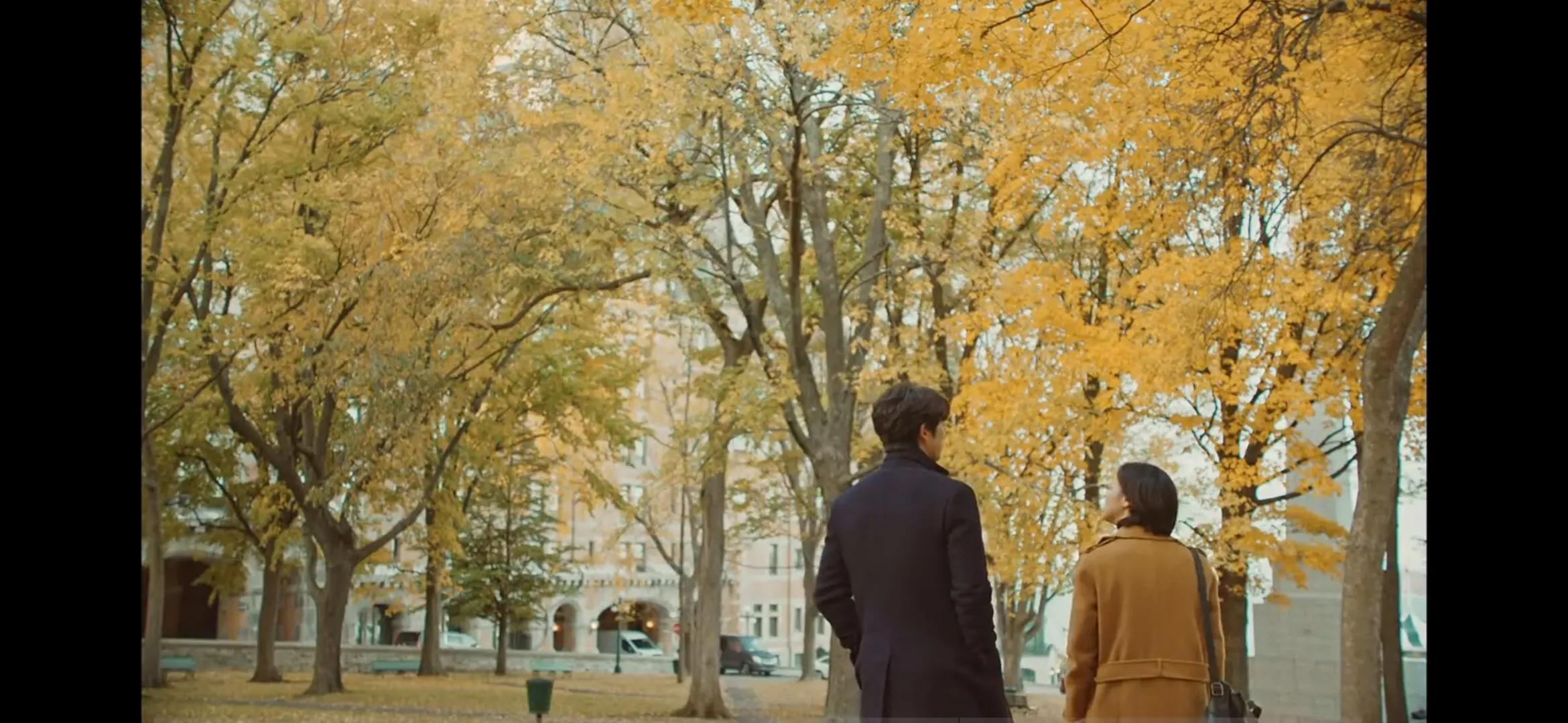 Lonely and splendid ghost: It's raining a lot, but fortunately there is ...