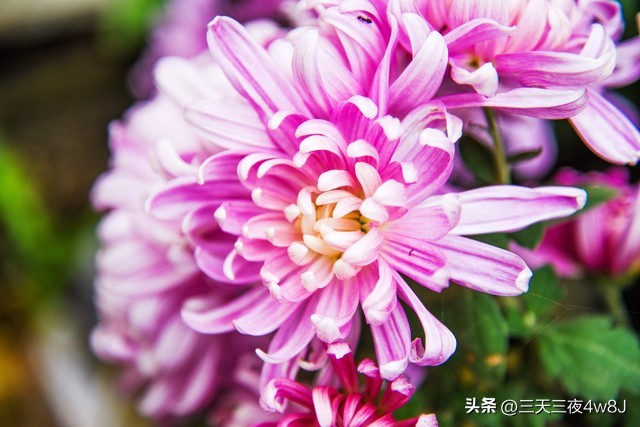 Great wealth comes in, bullishness is soaring, auspicious stars are ...