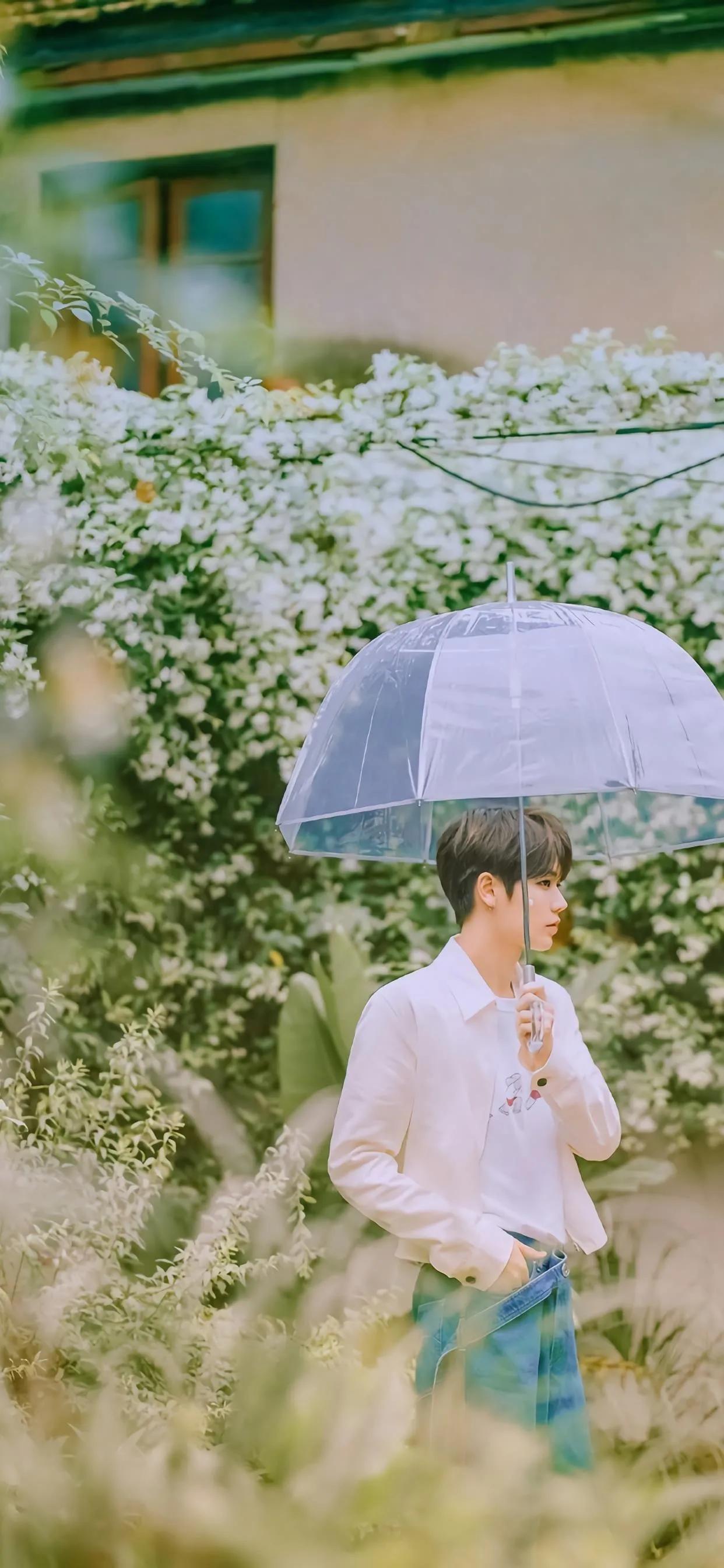 Lin Yanjun wallpaper - iNEWS