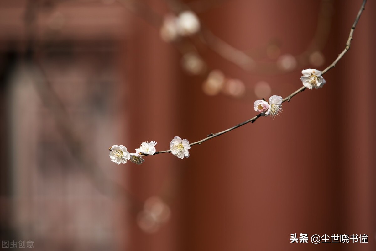 A classic plum poem, which not only writes the unique personality of ...