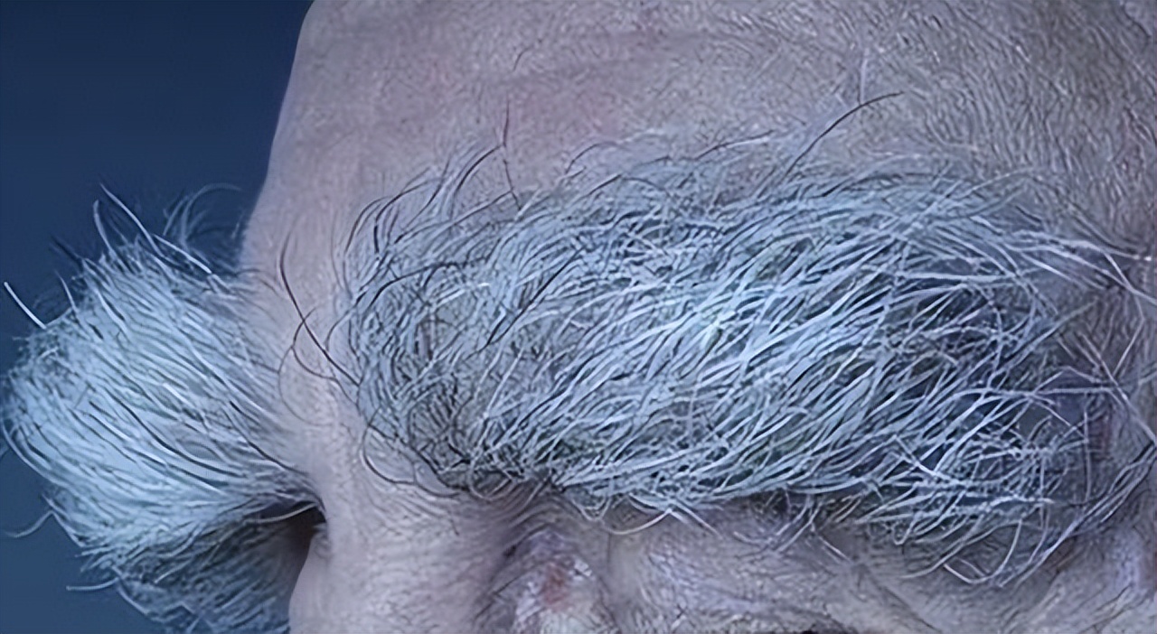 As the saying goes: "A long eyebrow is worth a thousand grains", what ...