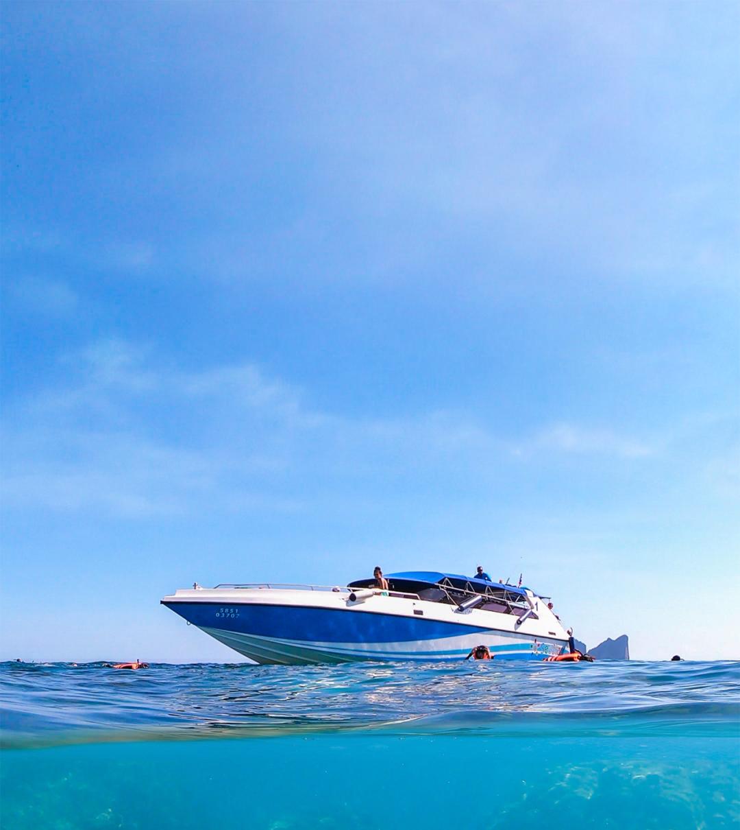 International brand Elizabeth tile 600x1350 "New Vision VISION+ ...