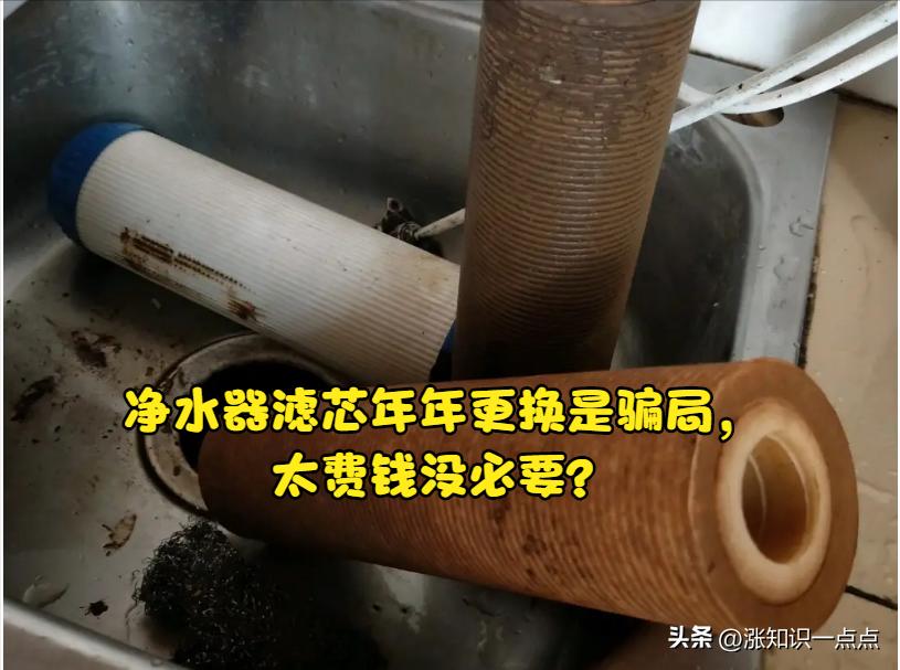 It is a scam to replace the water purifier filter every year. It is too ...