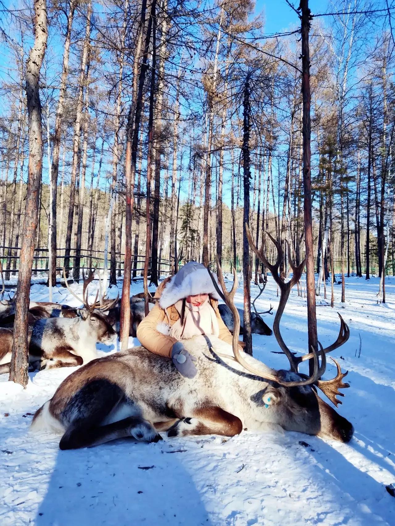 This winter? Let's go to Mohe to watch the aurora - iNEWS