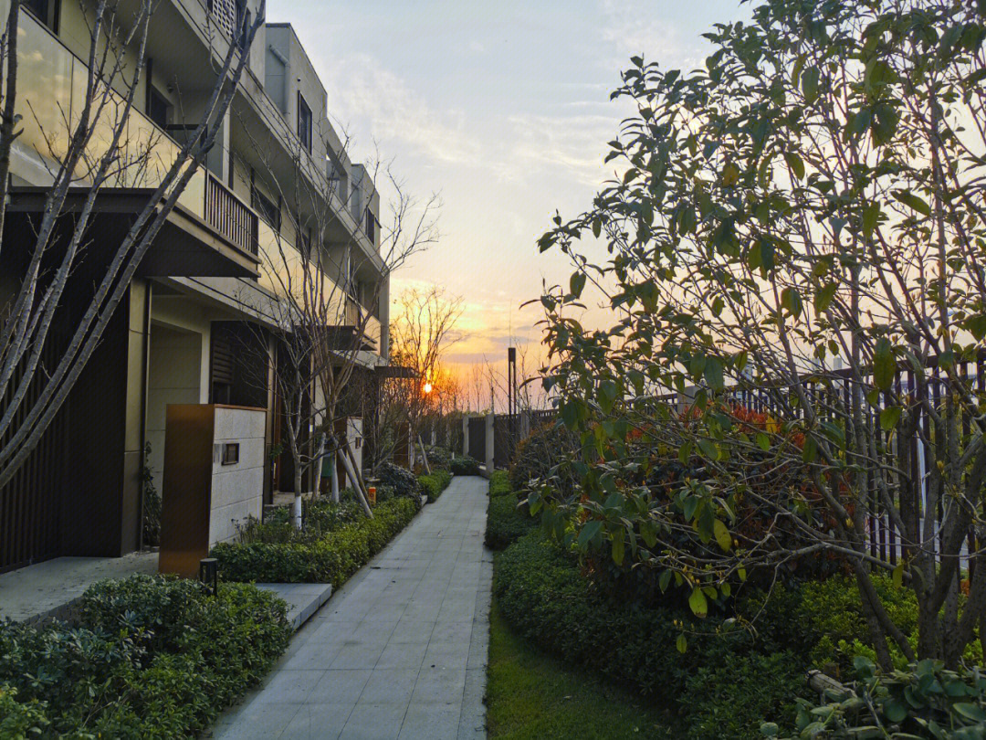 The small yard of 60 square meters on the first floor was transformed ...